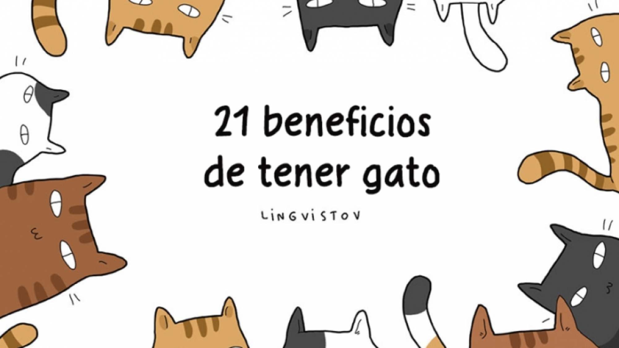 21 beneficios de tener un gato en imágenes - Mestizos Magazine