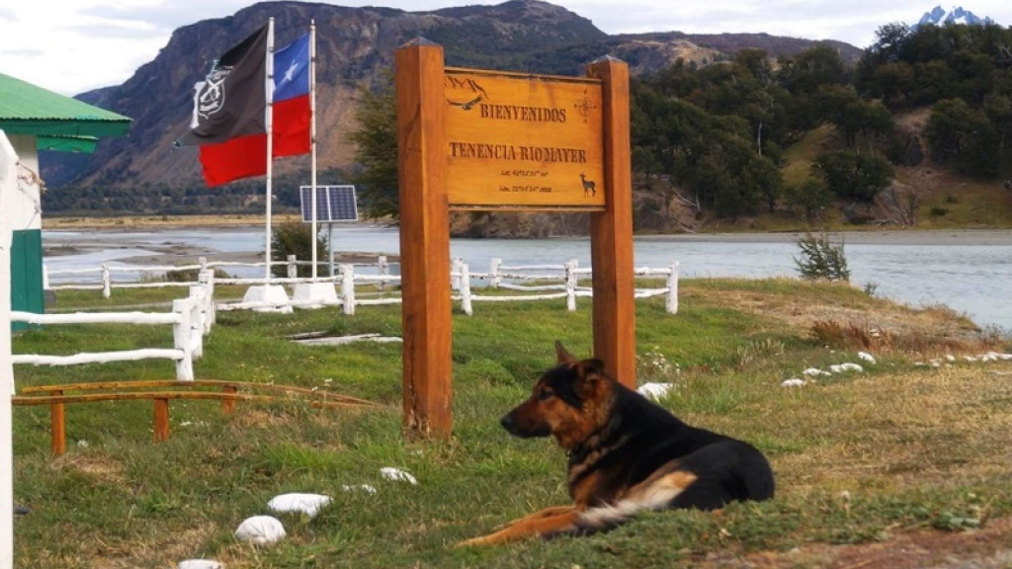 Bruno: El perro que acompaña a los Carabineros de la Tenencia Río Mayer ...