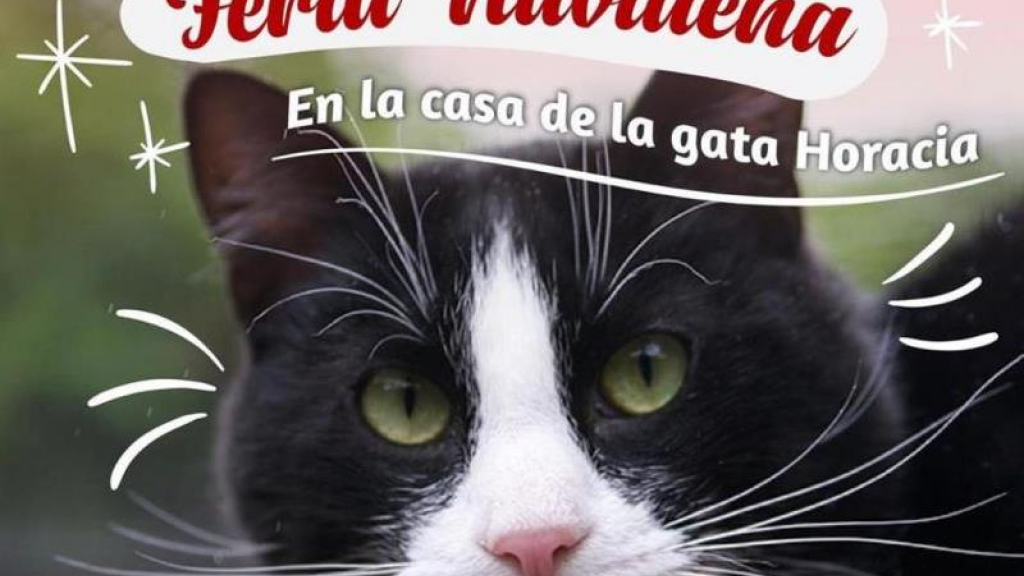 Feria navideña en ''La casa de la gata Horacia'' - Mestizos Magazine