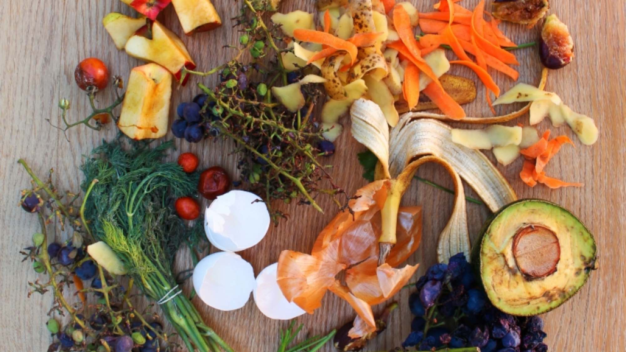 Día Internacional del Reciclaje: Técnicas para gestionar los residuos ...