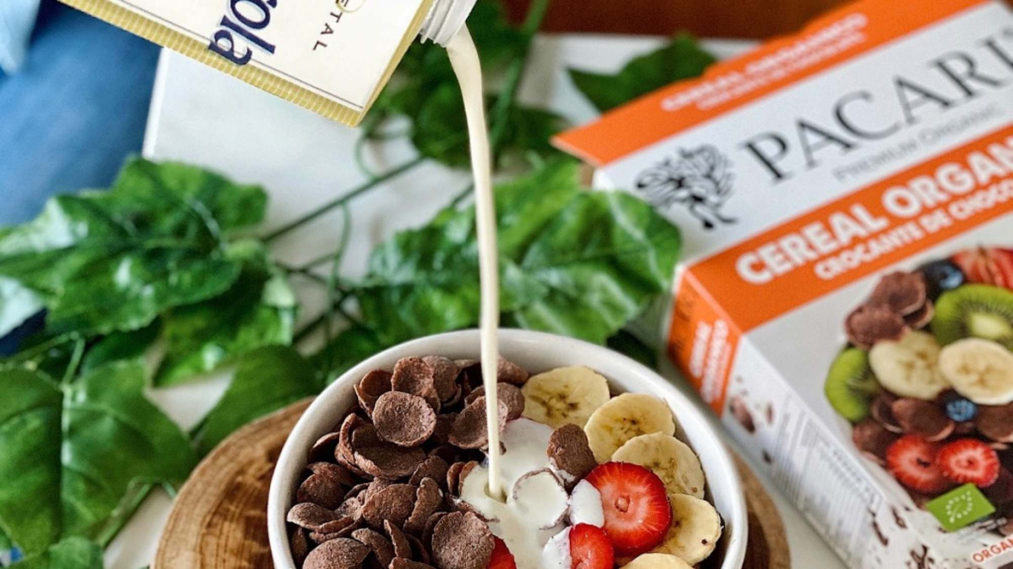 Cinco opciones de snacks saludables imperdibles para esta temporada ...