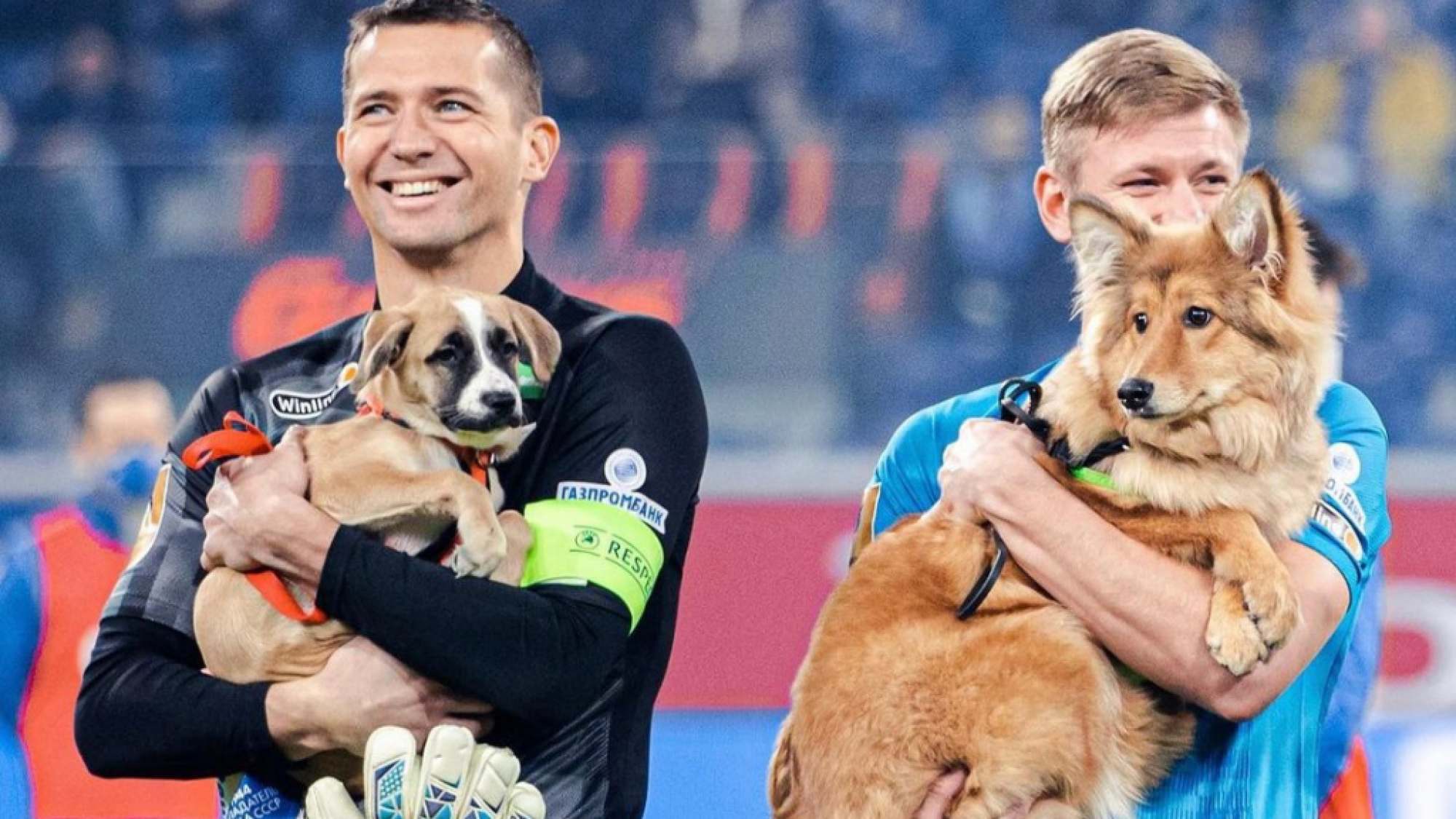 Jugadores ingresan a la cancha con perros para promover la adopción ...