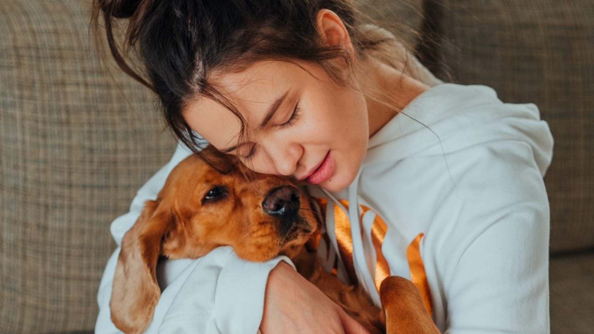 Estudio: Perros saben cuando sus humanos están tristes - Mestizos Magazine