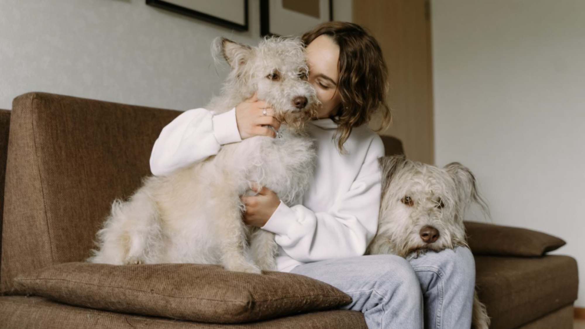 Animales de compañía ¿Los queremos por igual o hacemos diferencias ...
