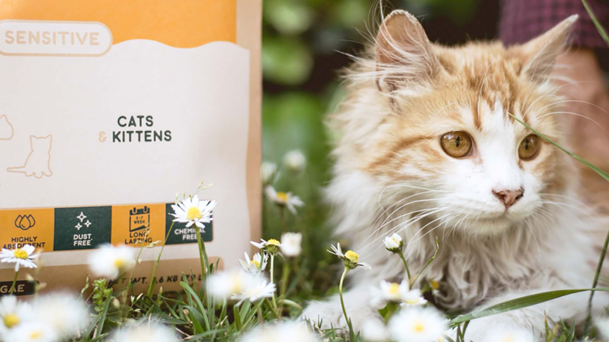 LAQU: Arena sanitaria para gatos hecha a partir de algas y 100% ...