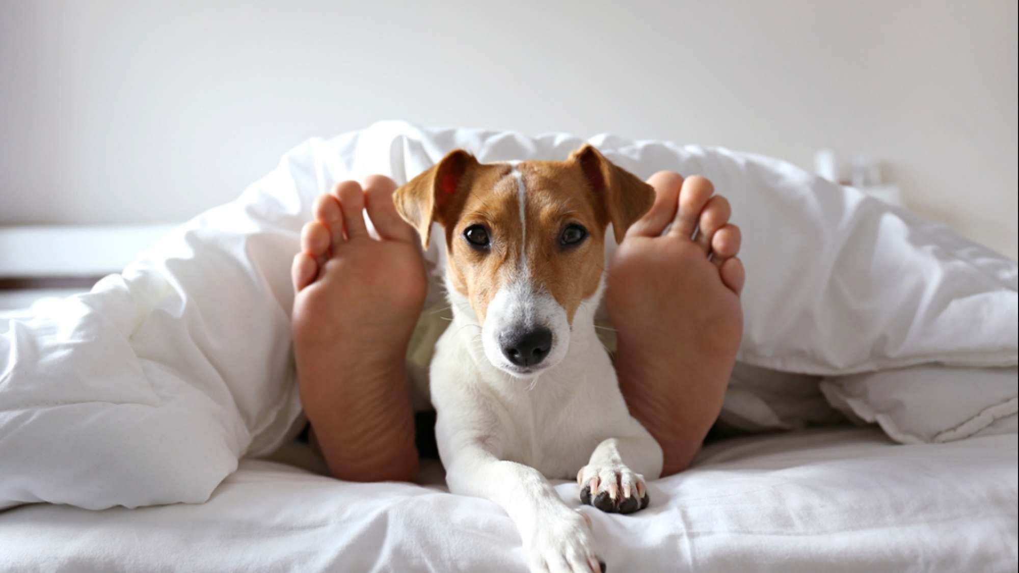 Con fuchi.chao ¡Dile chao al mal olor! - Mestizos Magazine