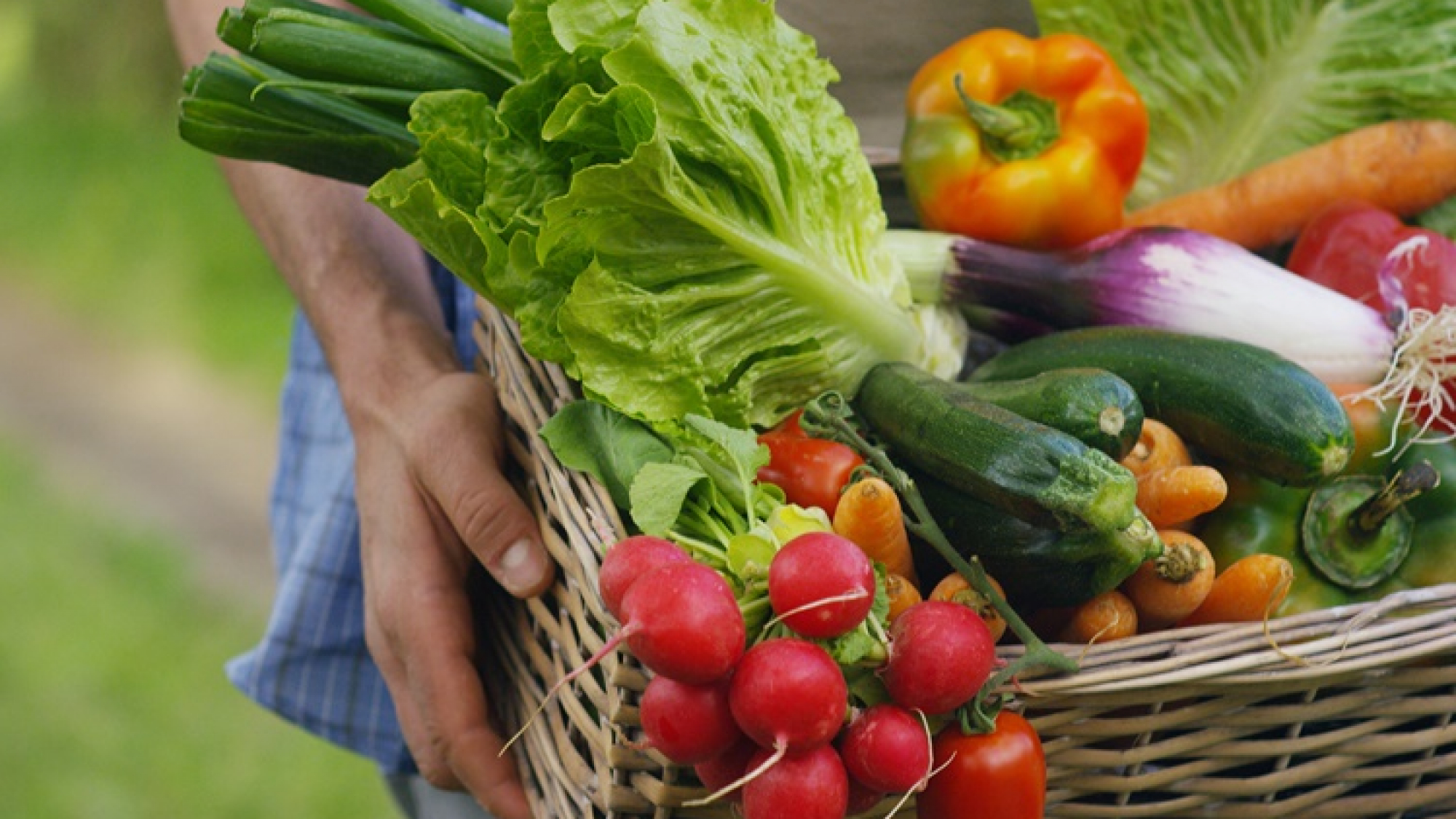 Beneficios de comer frutas y verduras - Mestizos Magazine