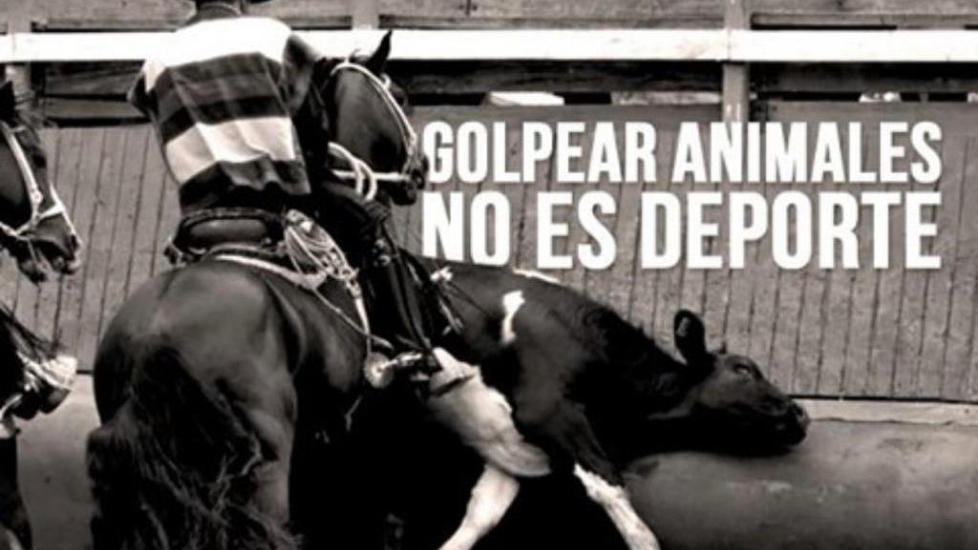 Proyecto de ley que busca considerar al rodeo como deporte nacional ...