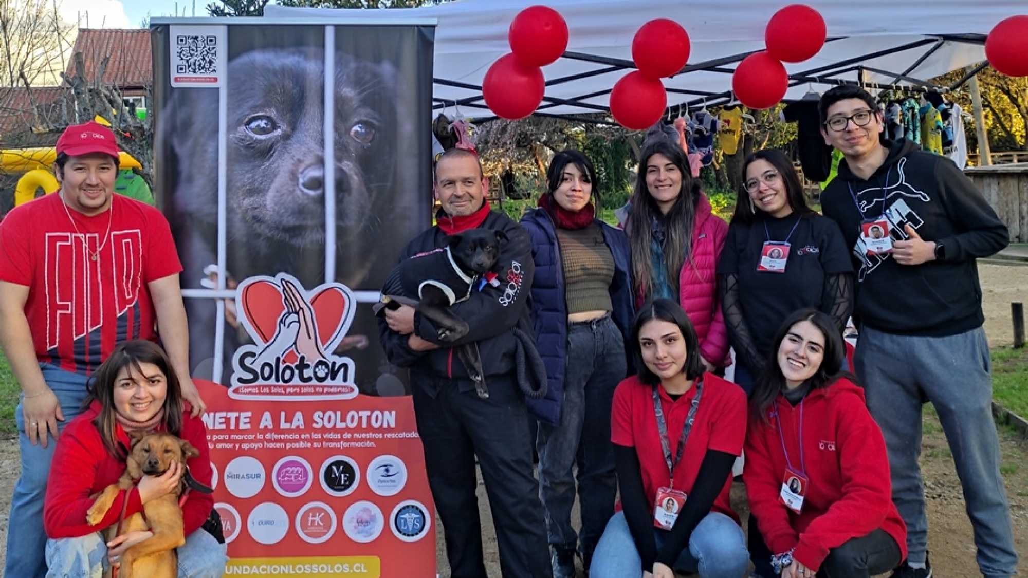 Fundación Los Solos "Hemos cambiado la vida de más de dos mil animales ...