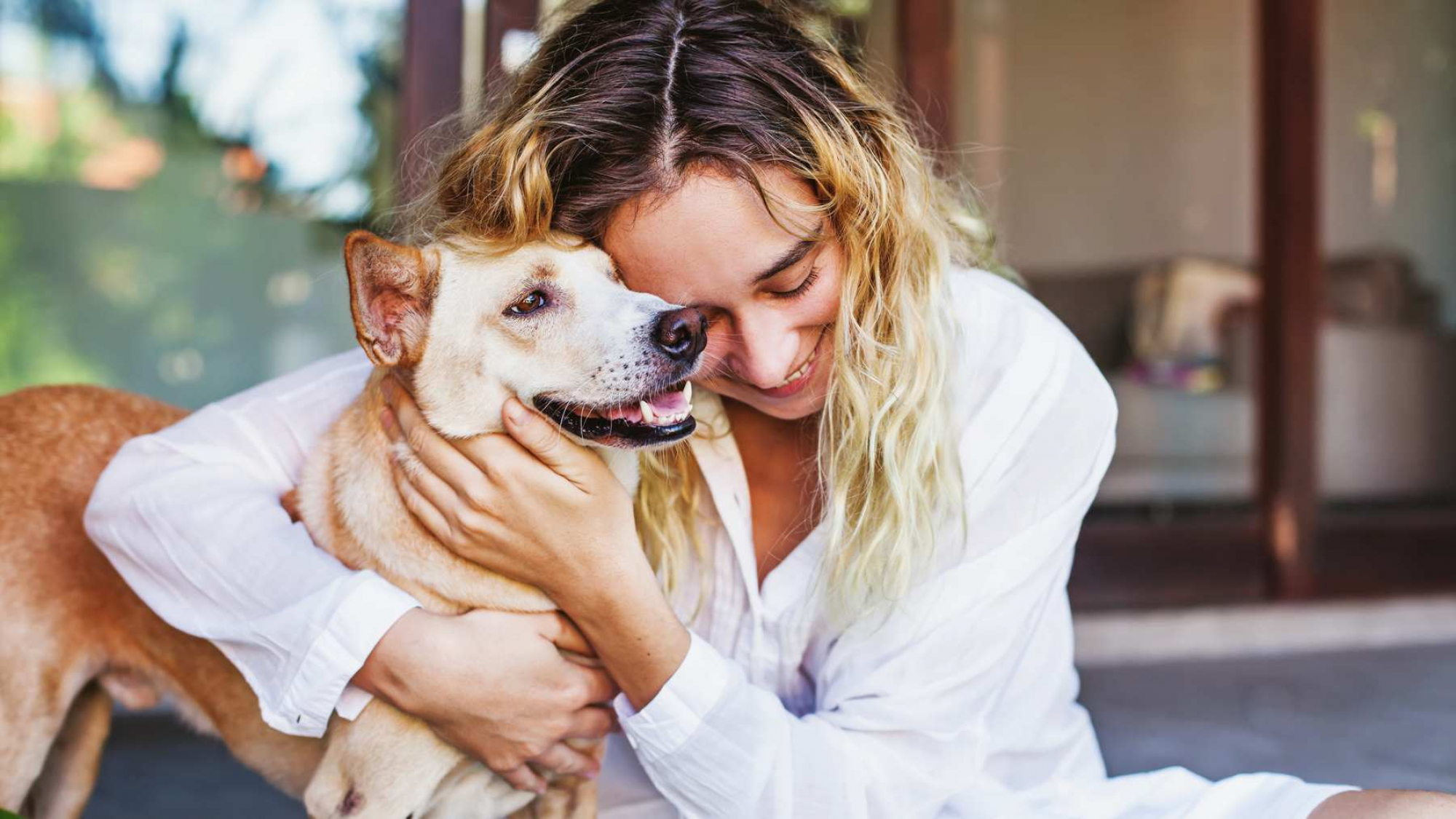 Ludipek lanza en Chile marca líder mundial de innovadores suplementos para animales de compañía ...