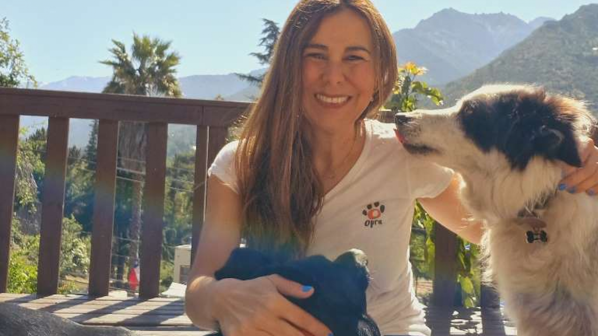 OPRA "Debemos fomentar la tenencia responsable de animales" - Mestizos ...