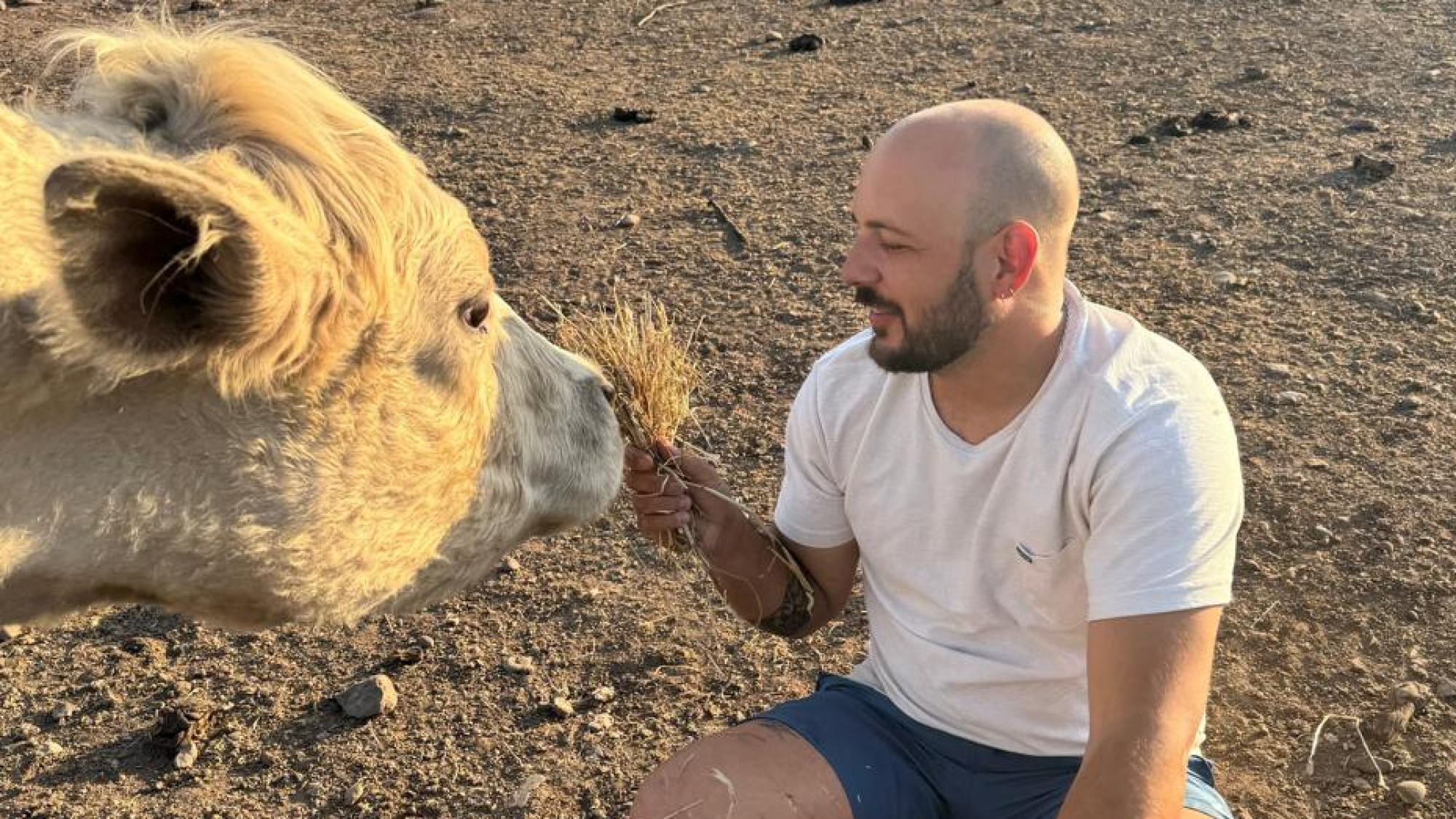 Colina: Concejal Federico Koch denuncia discriminación en castración de ...