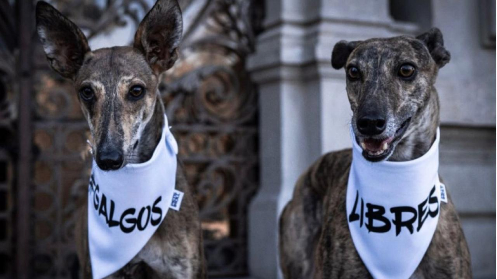 Último año de gobierno de Gabriel Boric ¿Ha cumplido en materia de ...