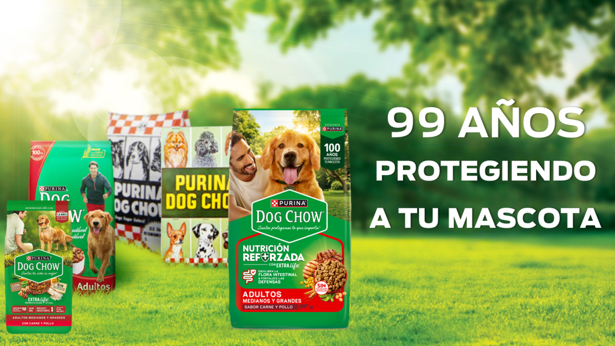 Dog Chow: Nueva fórmula para cada etapa de vida de nuestros perros ...