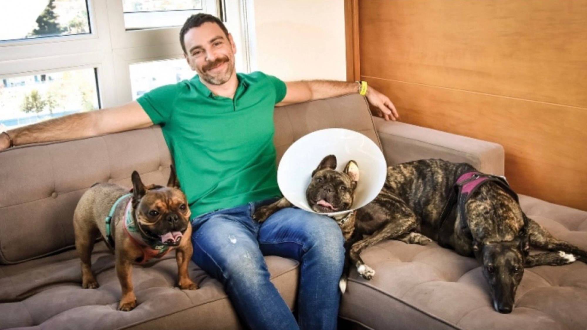 Fallece Bo: El perro de José Antonio Neme - Mestizos Magazine